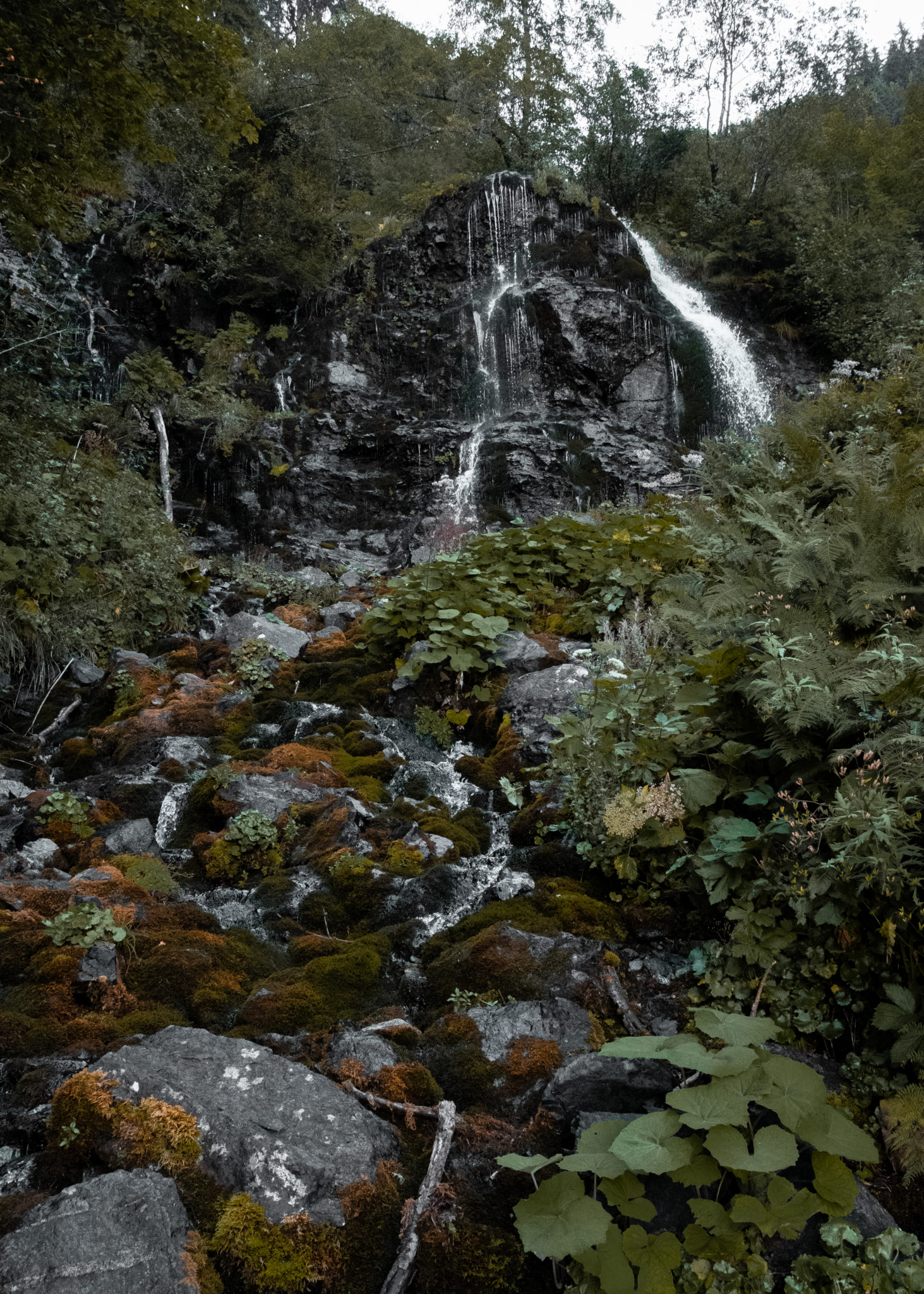 Lac David par la Cascade de l'Oursière - VOYAGE